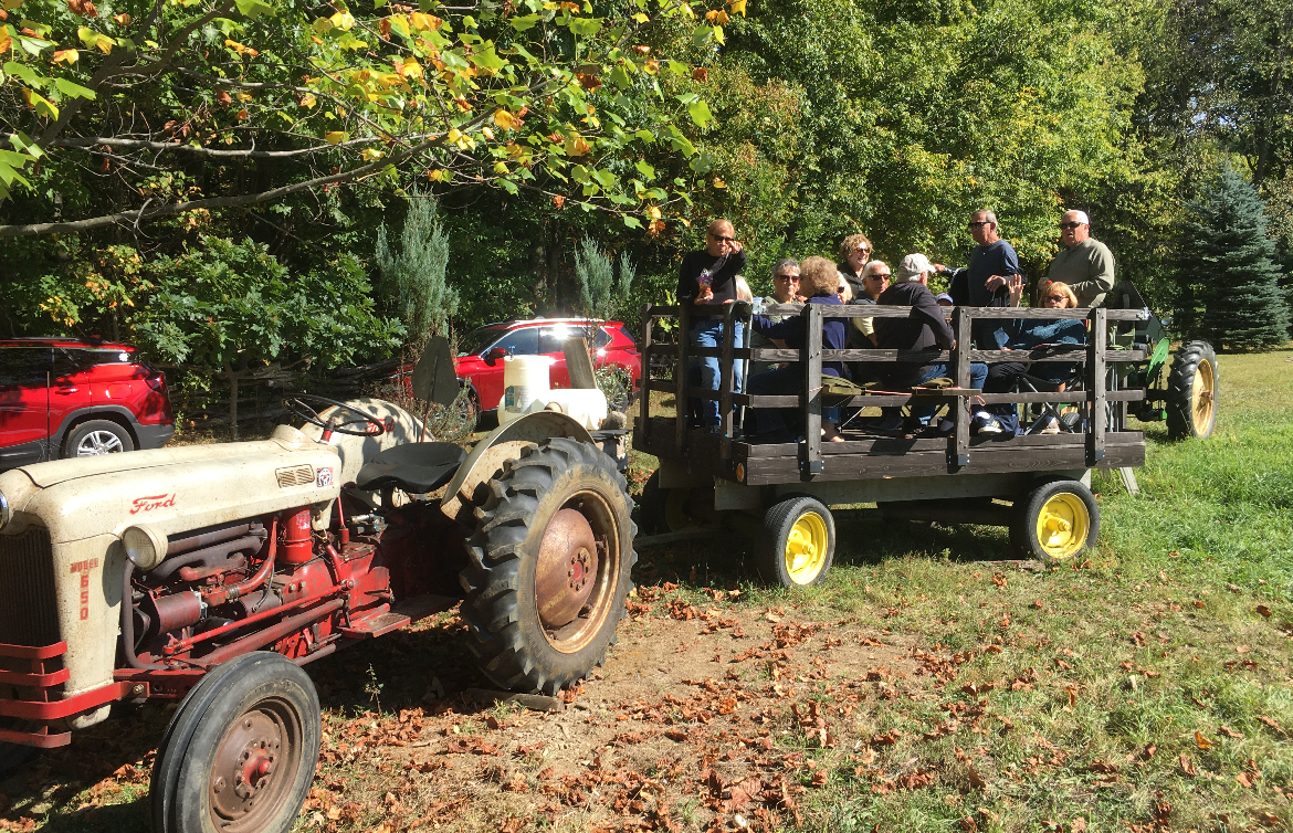 Wagon ride a trip down memory lane | News, Sports, Jobs - Observer Today